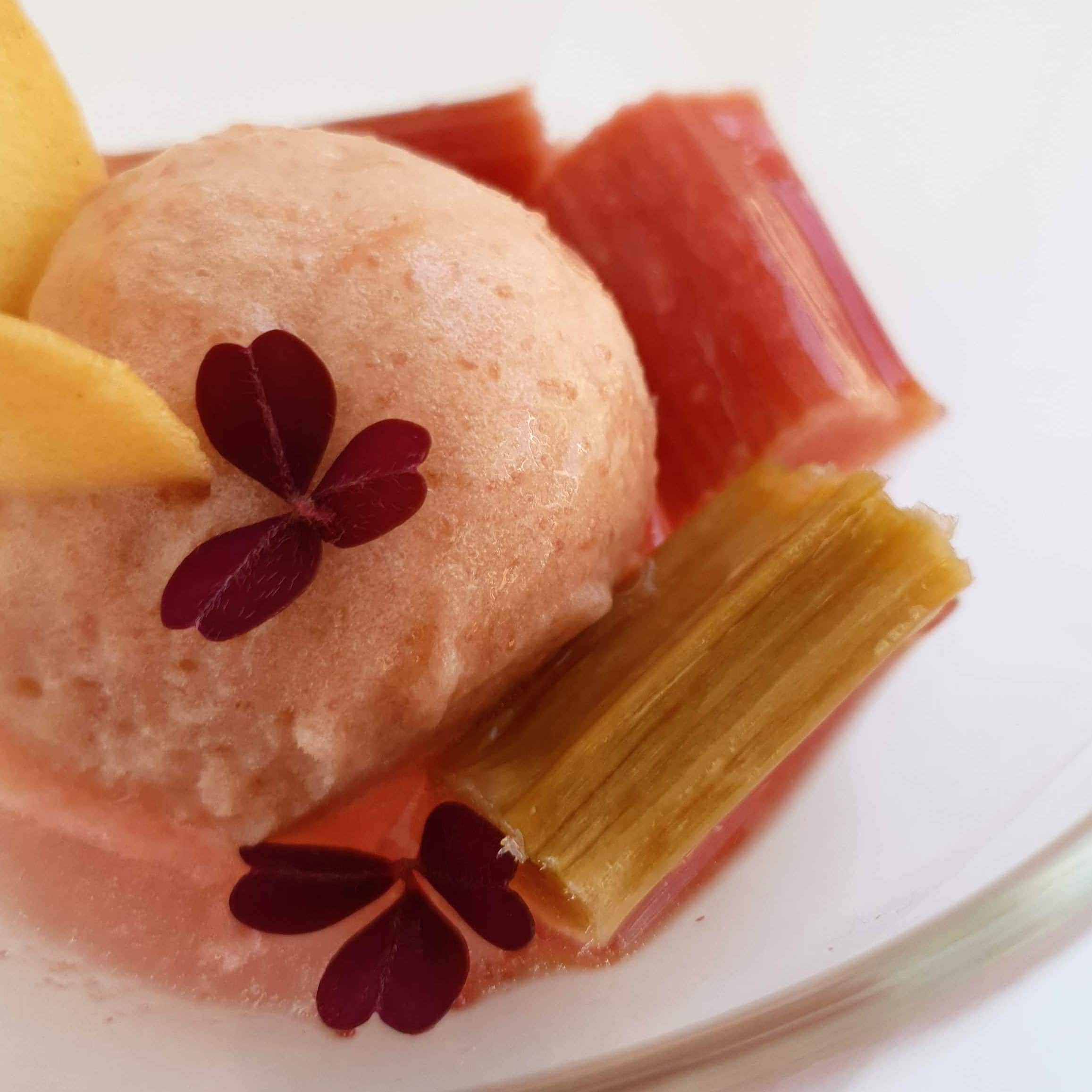 Sådan farver du dine rabarber naturligt - Danish Things