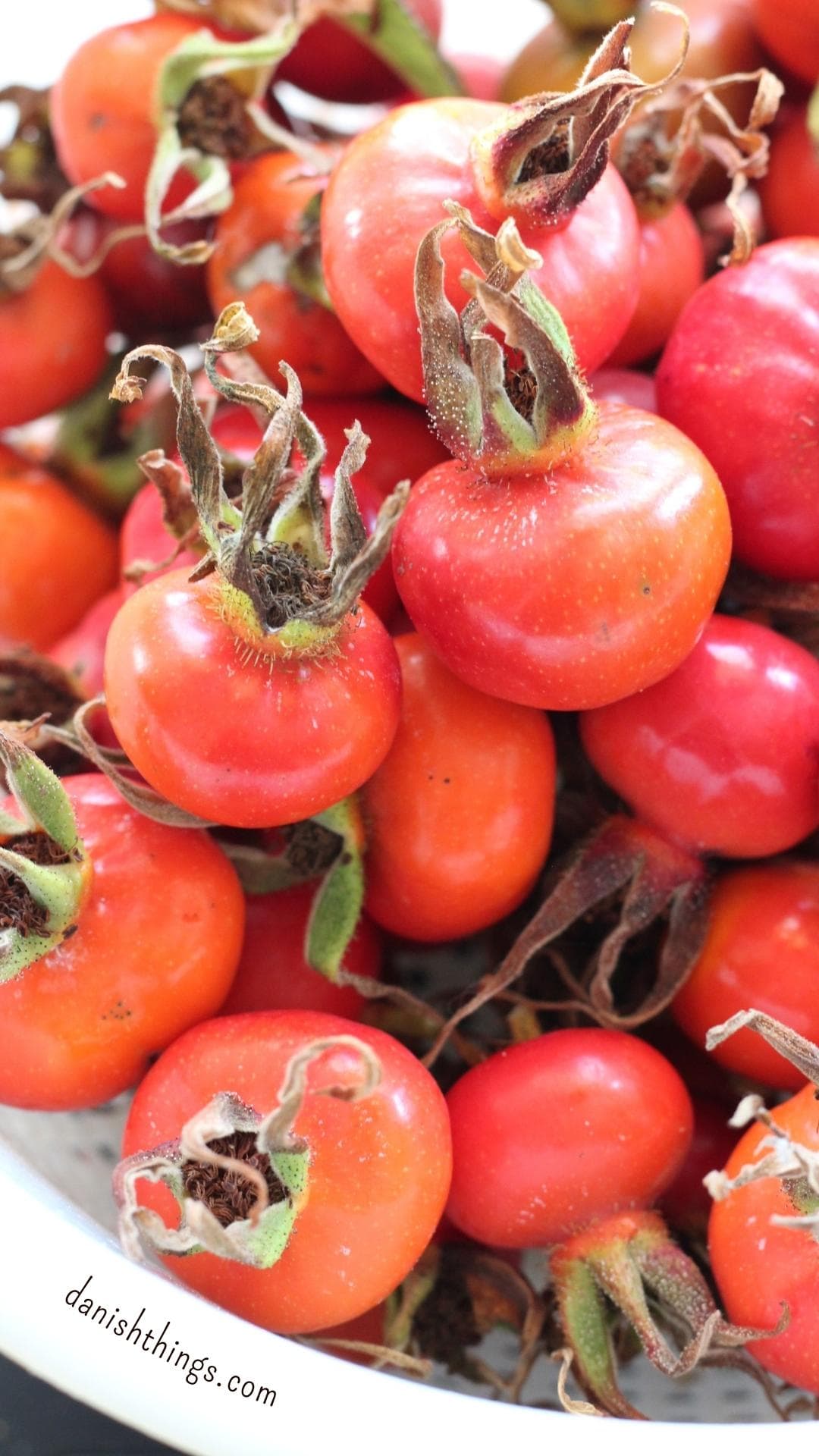 Sådan kan du rense dine hyben - rens hyben på flere måder - Danish Things