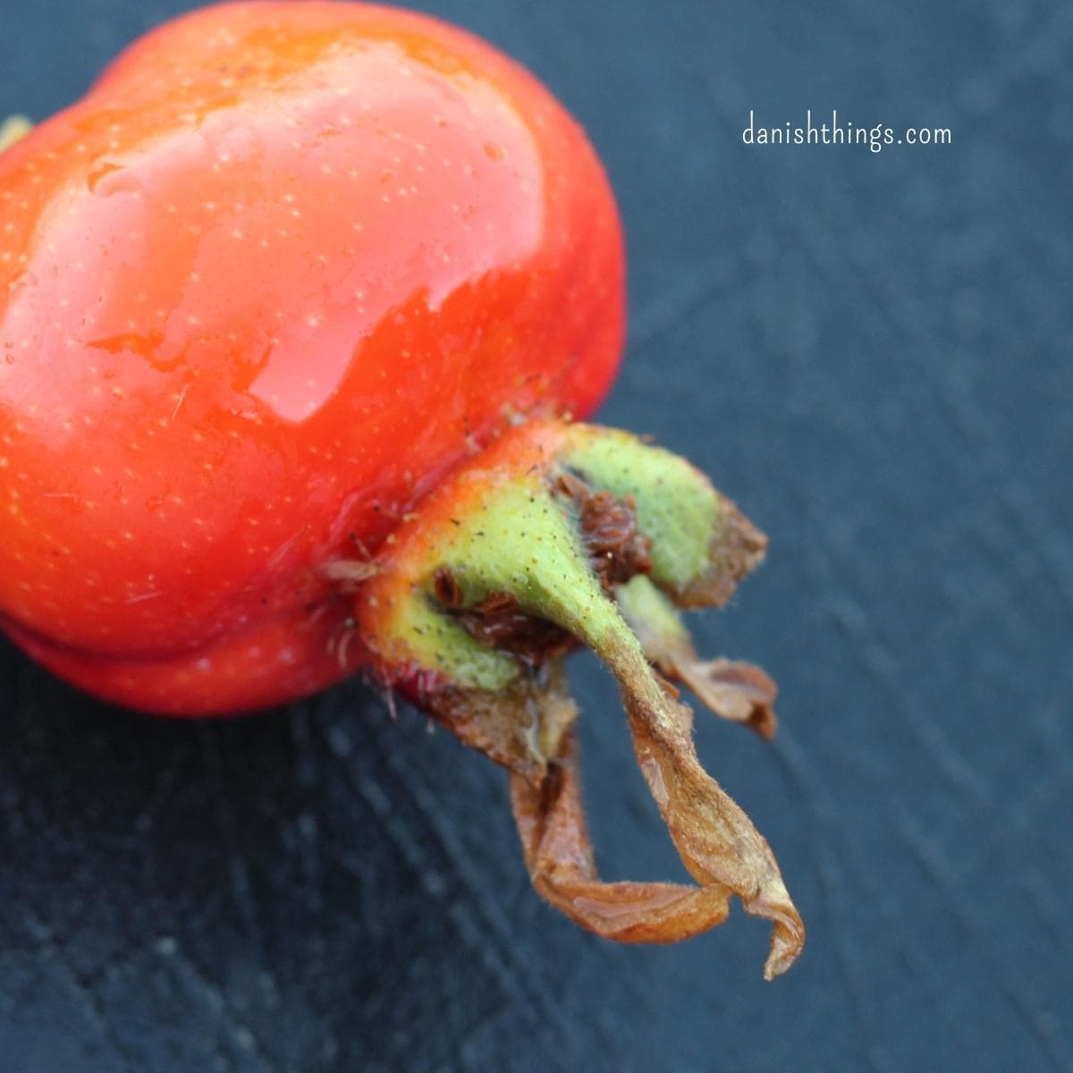 Sådan kan du rense dine hyben - rens hyben på flere måder - Danish Things
