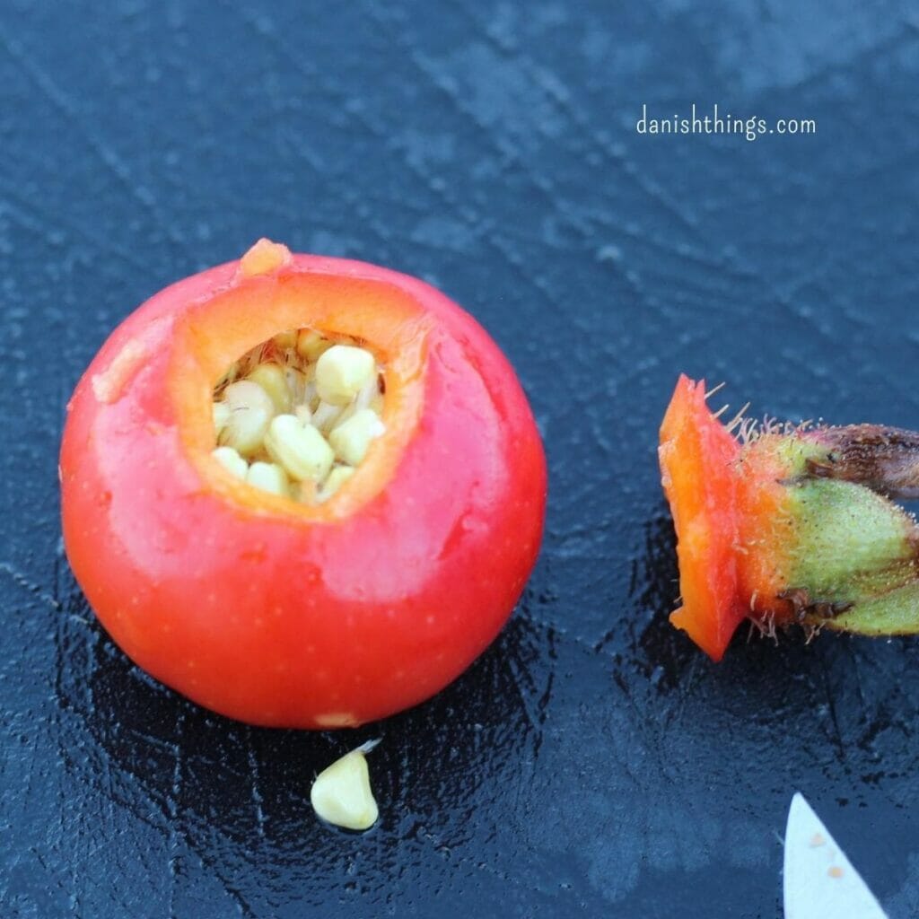 Sådan kan du rense dine hyben - rens hyben på flere måder - Danish Things